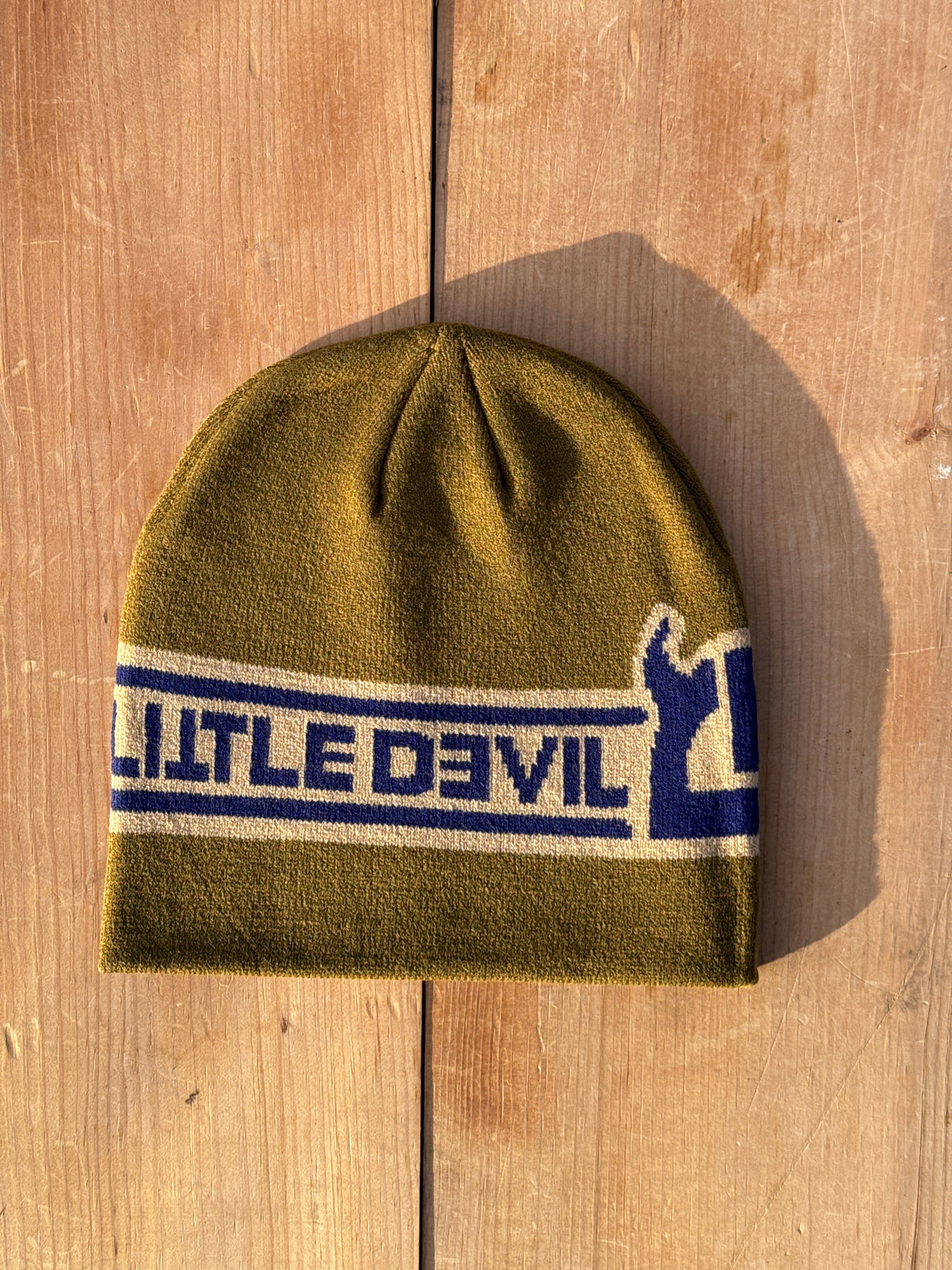 Dyslexic Knit Beanie – Little Devil Brand